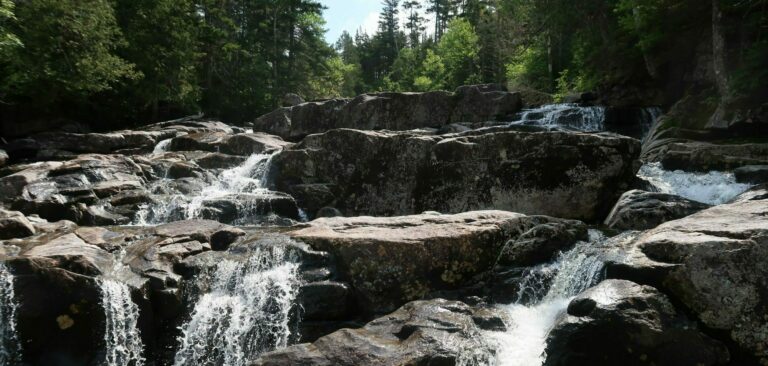 Hoye Crest, Maryland's highest point - dismal wilderness