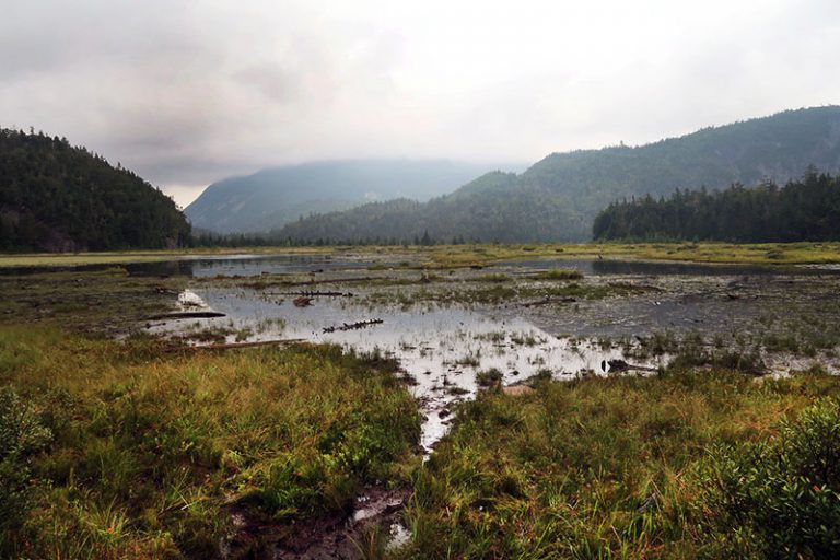 The MacIntyre Range: Iroquois, Algonquin, and Wright - dismal wilderness