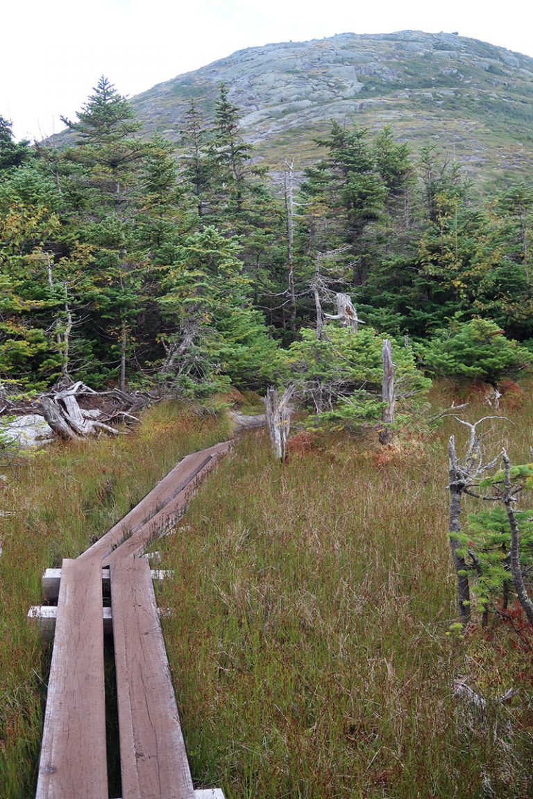 The MacIntyre Range: Iroquois, Algonquin, and Wright - dismal wilderness