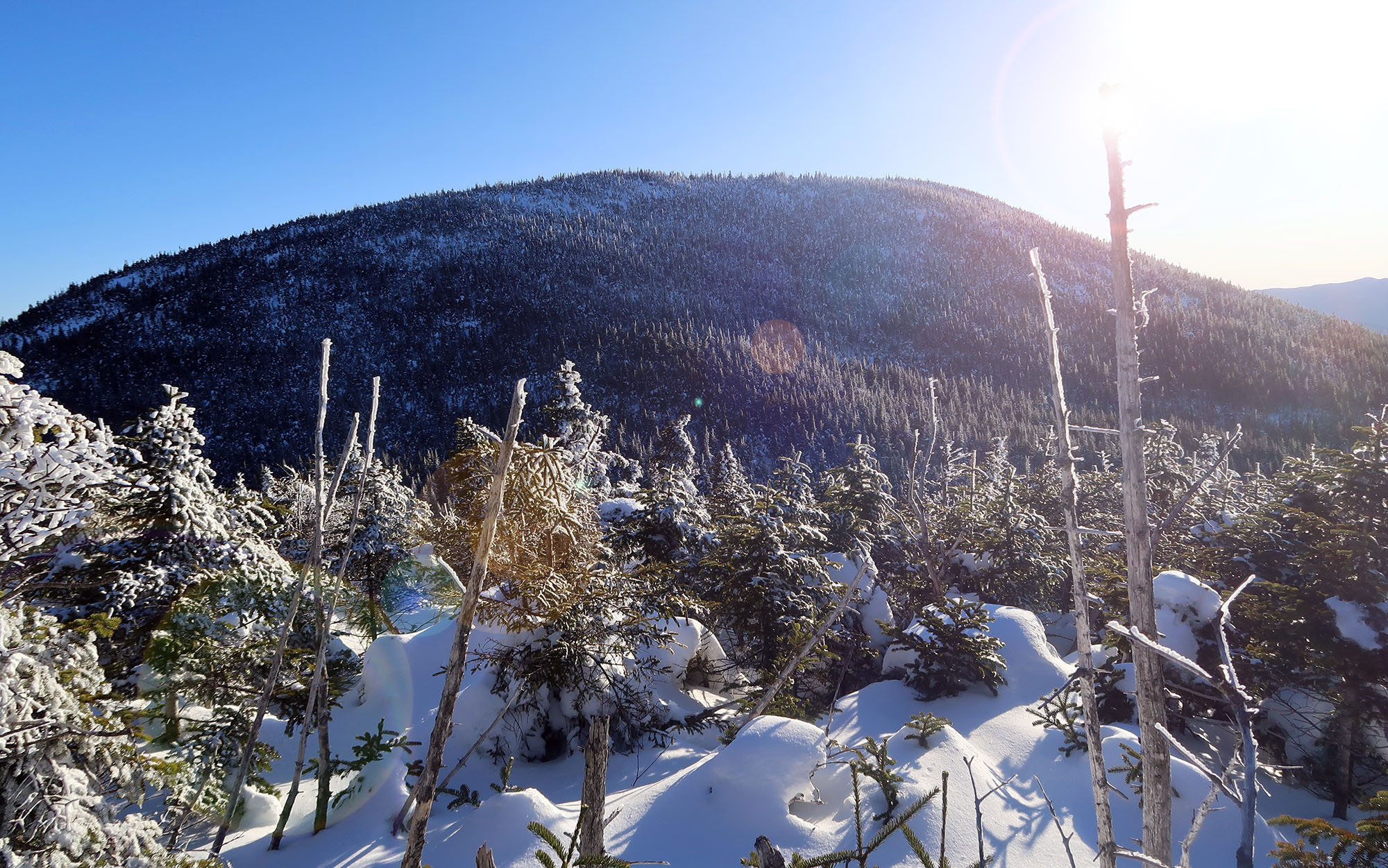 Mount Marshall (nearly twice) - dismal wilderness
