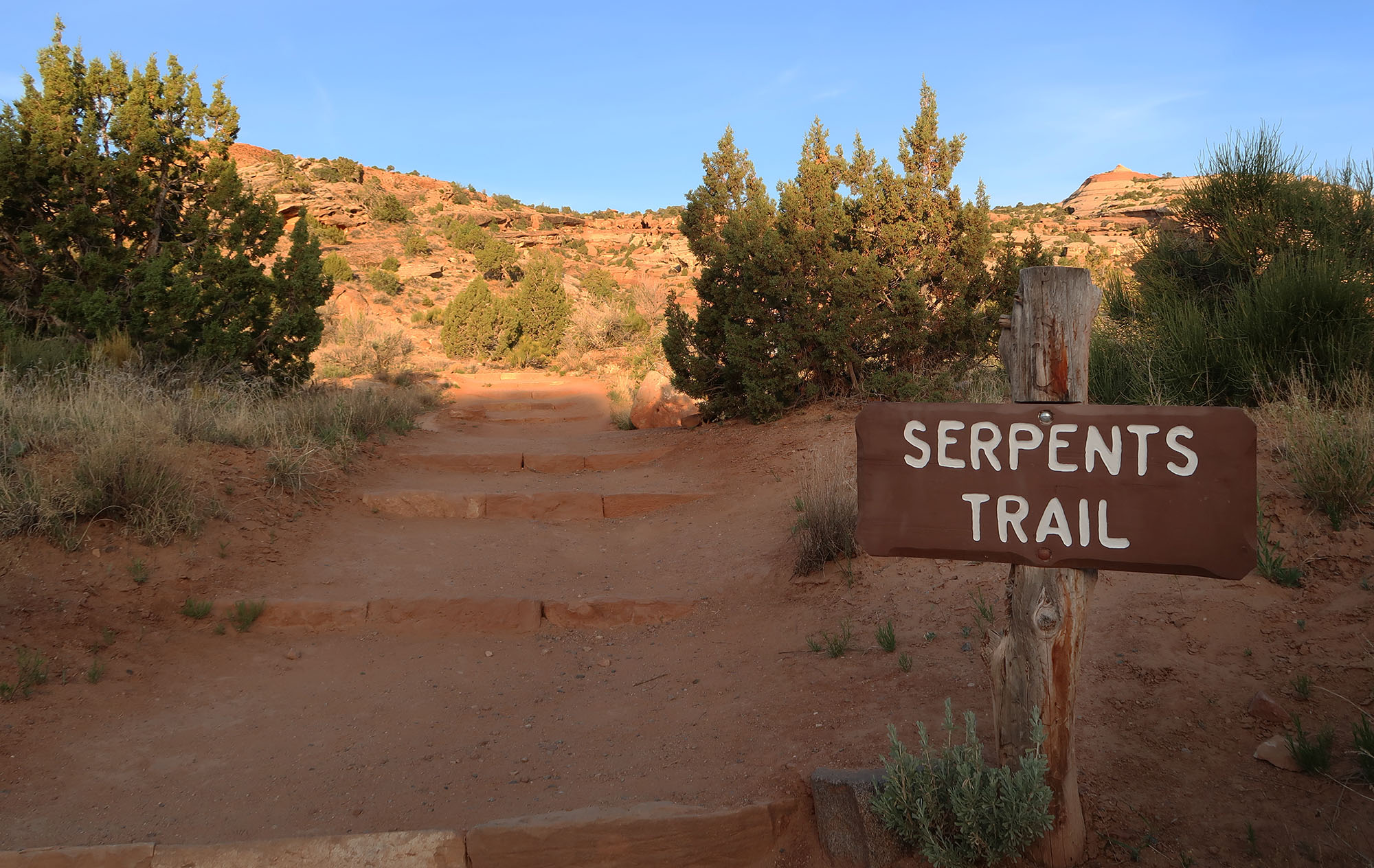 Serpent's Trail (Colorado Nat'l Monument) - dismal wilderness