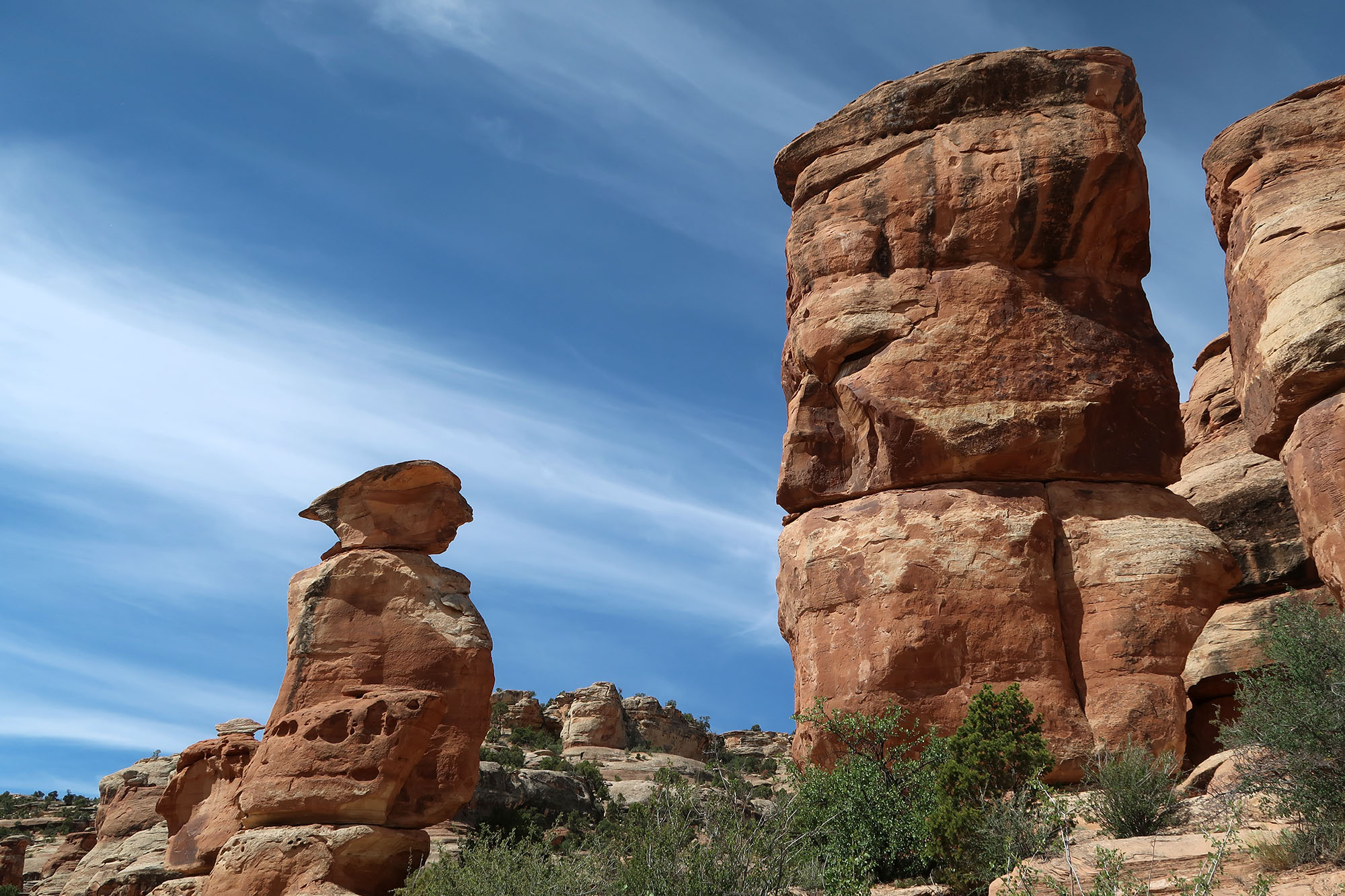 Devil's Kitchen (Colorado Nat'l Monument) - dismal wilderness