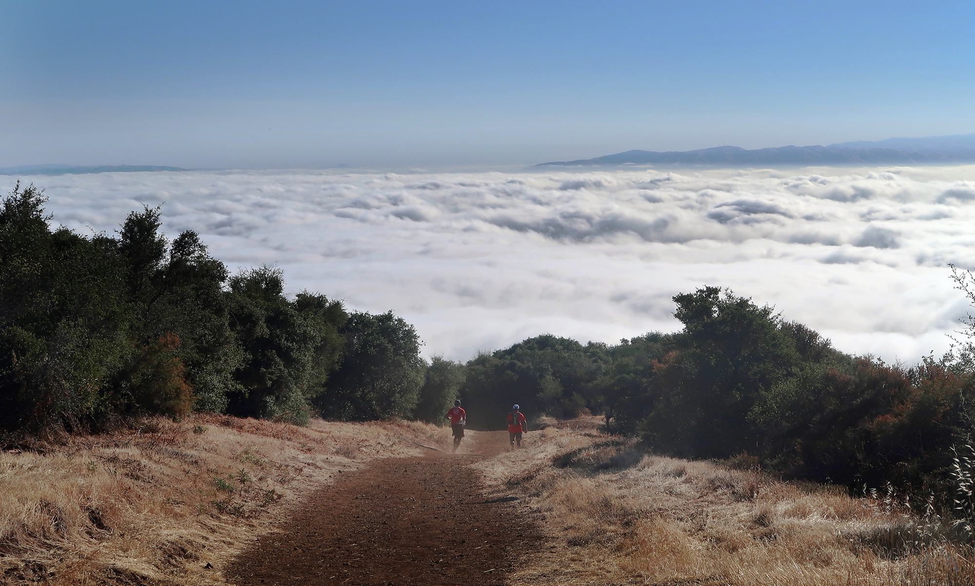 A gorgeous inversion from Black Mountain - dismal wilderness