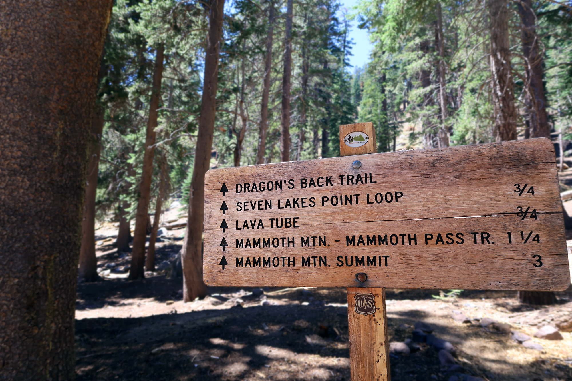 The Dragon's Back Trail to Mammoth Mountain - dismal wilderness