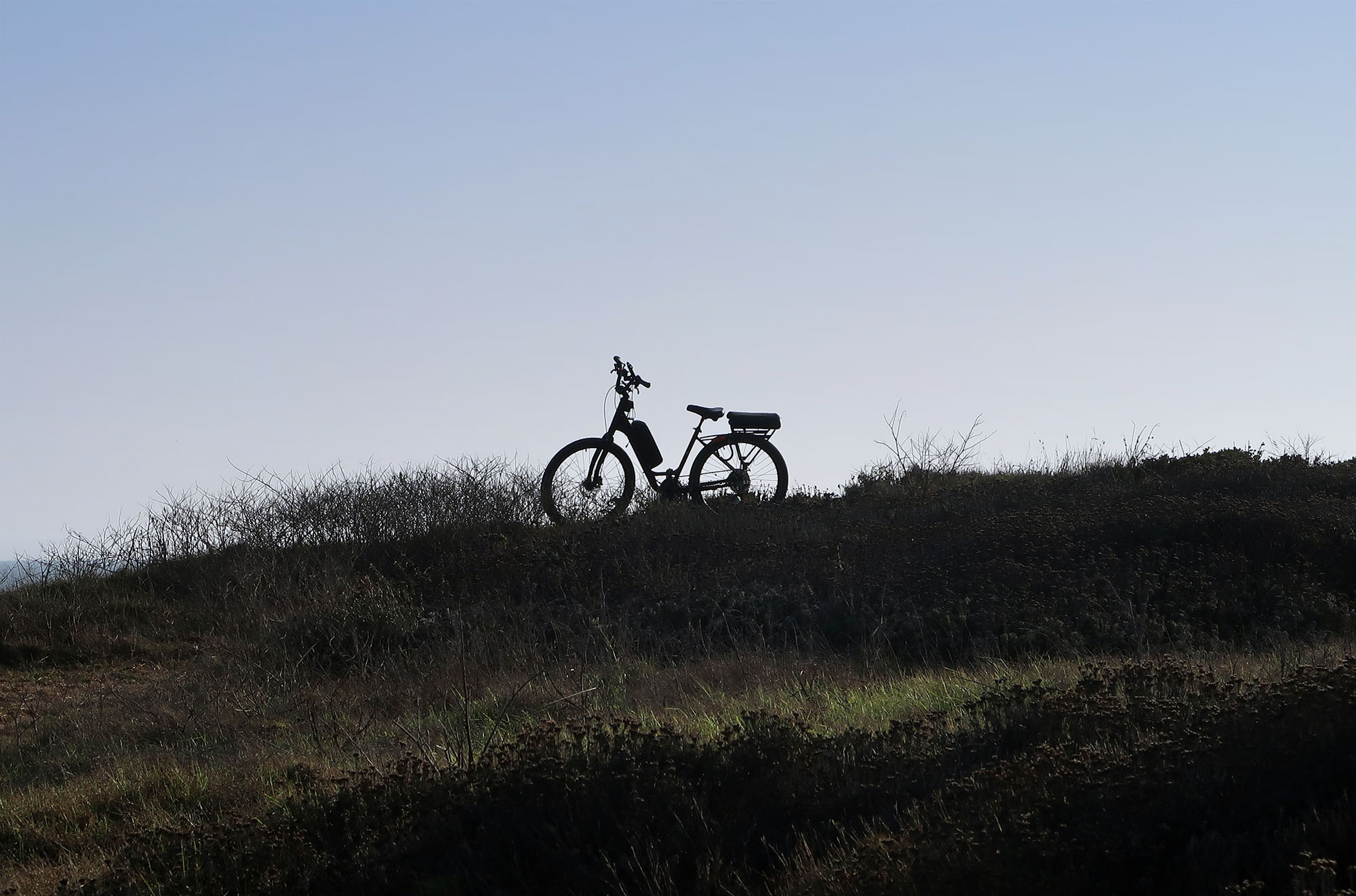 Ohlone Bluff Trail at Wilder Ranch - dismal wilderness