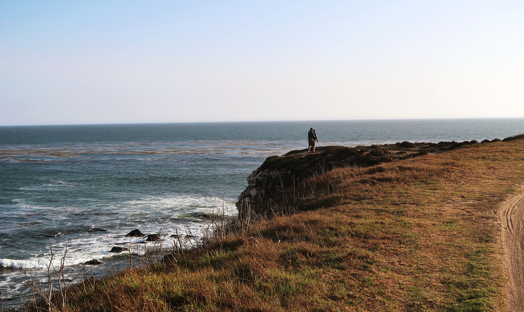 Ohlone Bluff Trail at Wilder Ranch - dismal wilderness