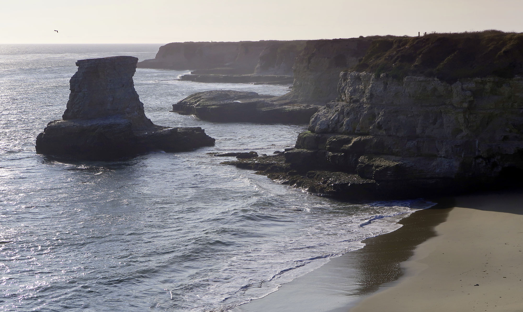 Ohlone Bluff Trail at Wilder Ranch - dismal wilderness