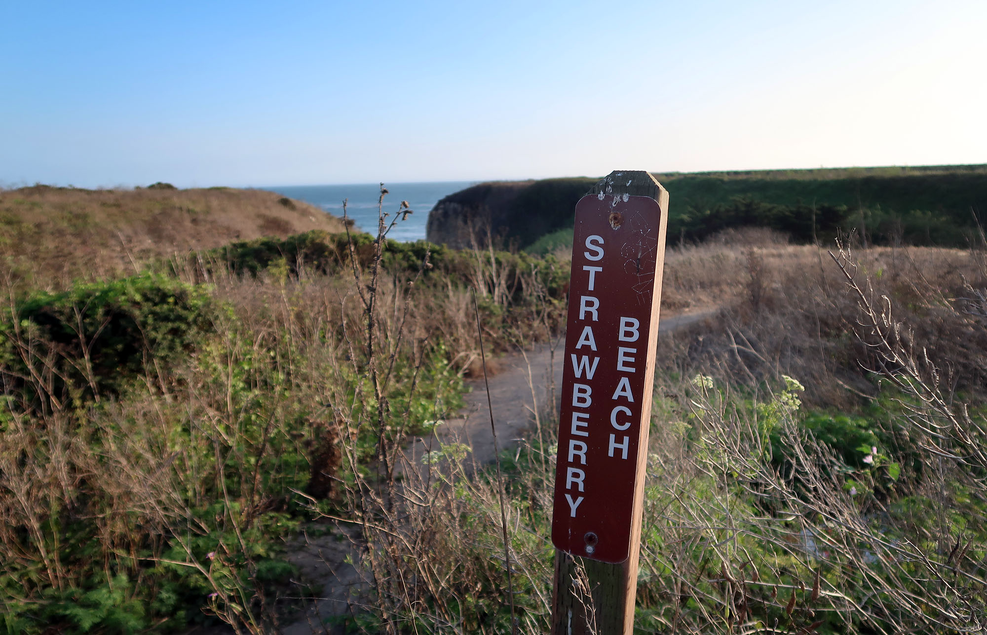 Ohlone Bluff Trail at Wilder Ranch - dismal wilderness