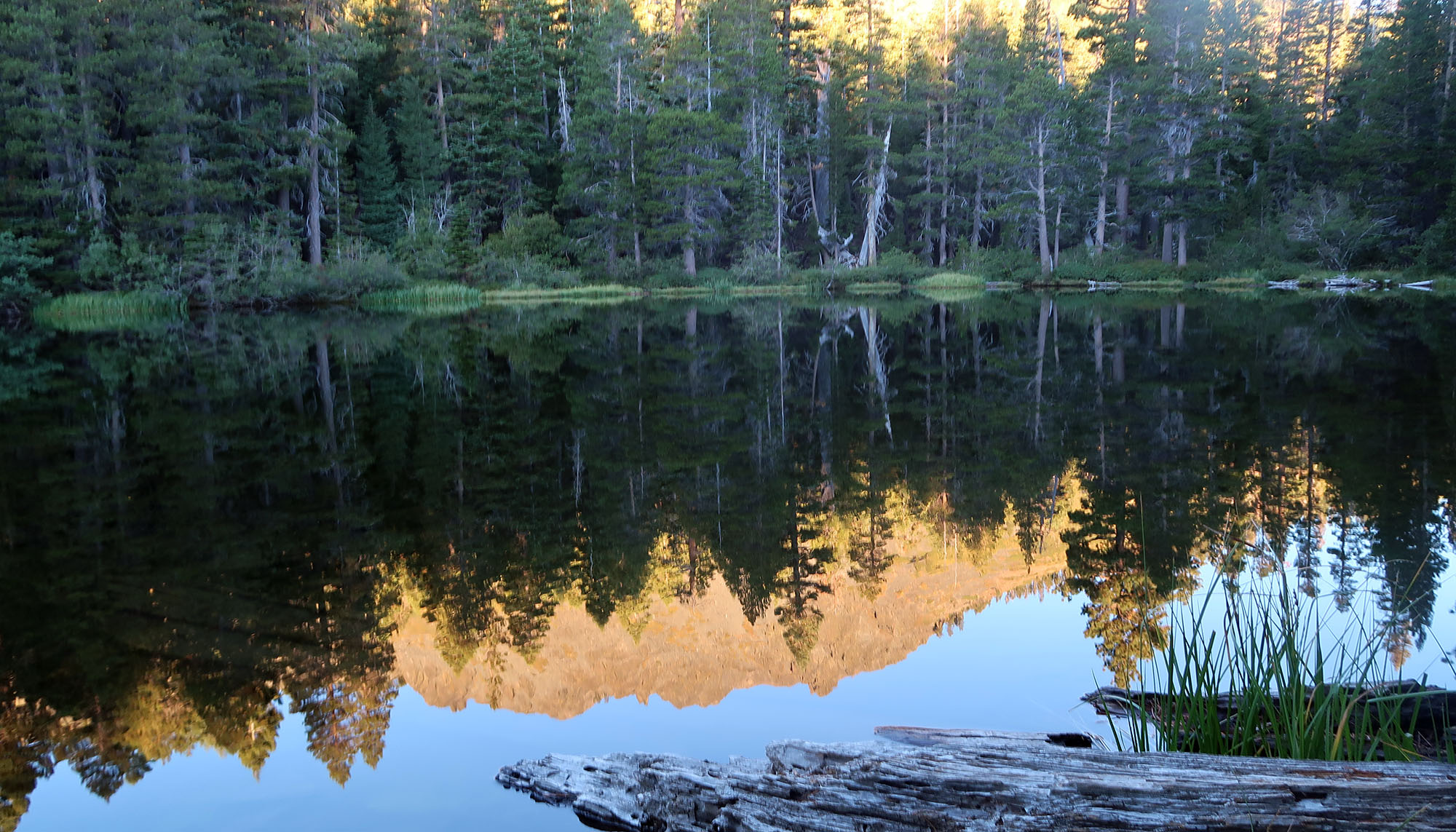Mount Tallac Trail (Lake Tahoe) - dismal wilderness
