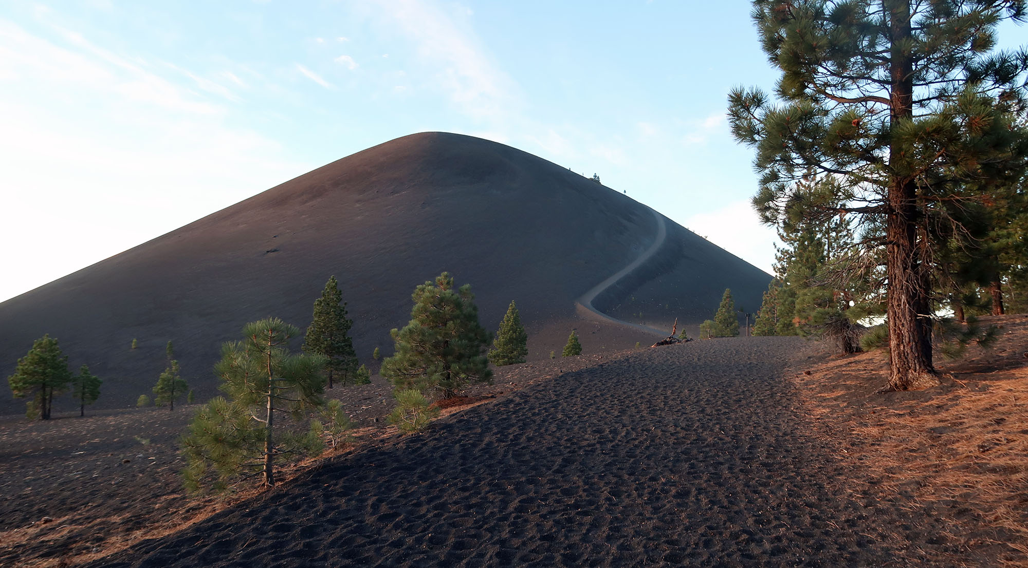 Cinder Cone Nature Trail (Lassen NP) - dismal wilderness