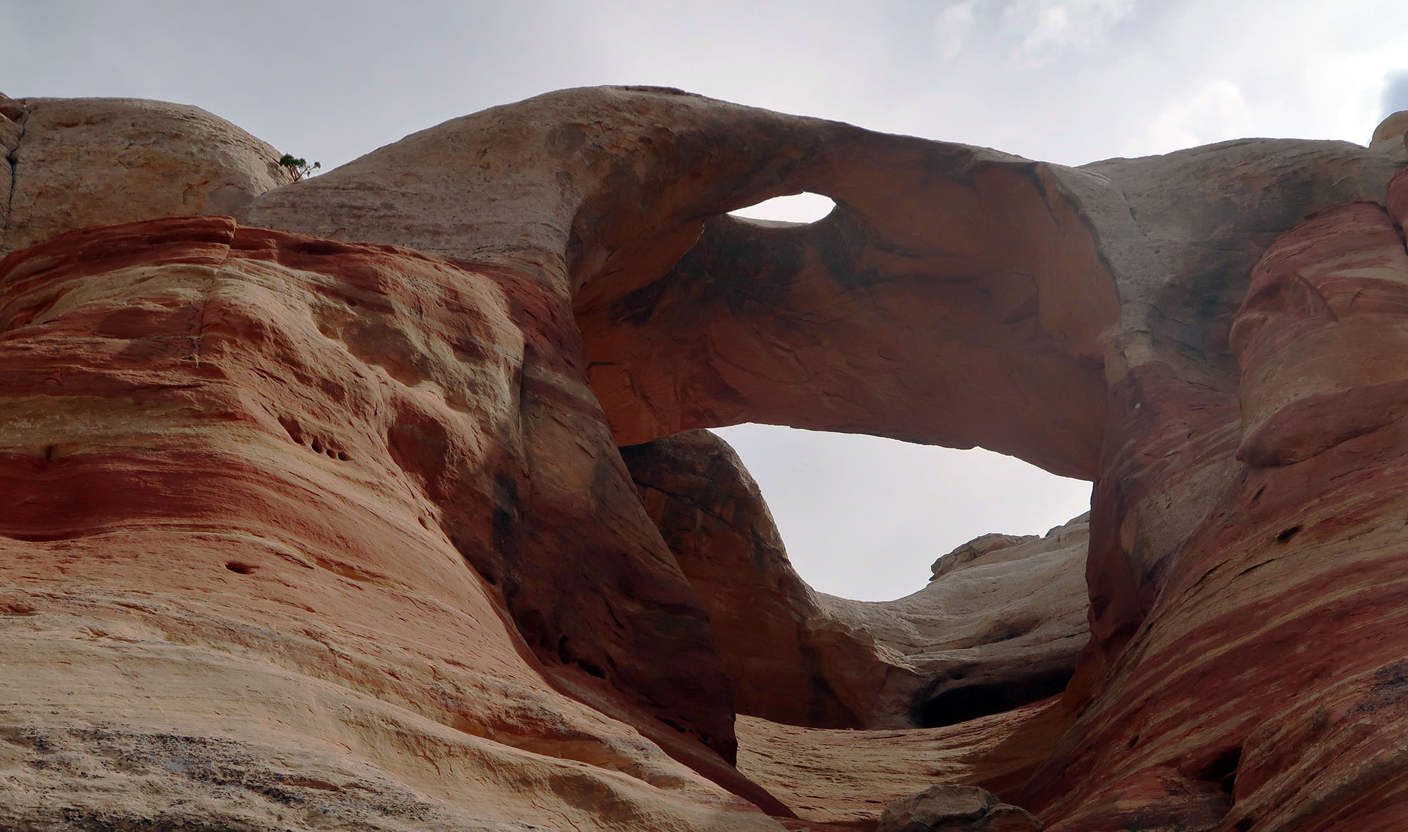 Rattlesnake Arches (McInnis Canyons) - dismal wilderness