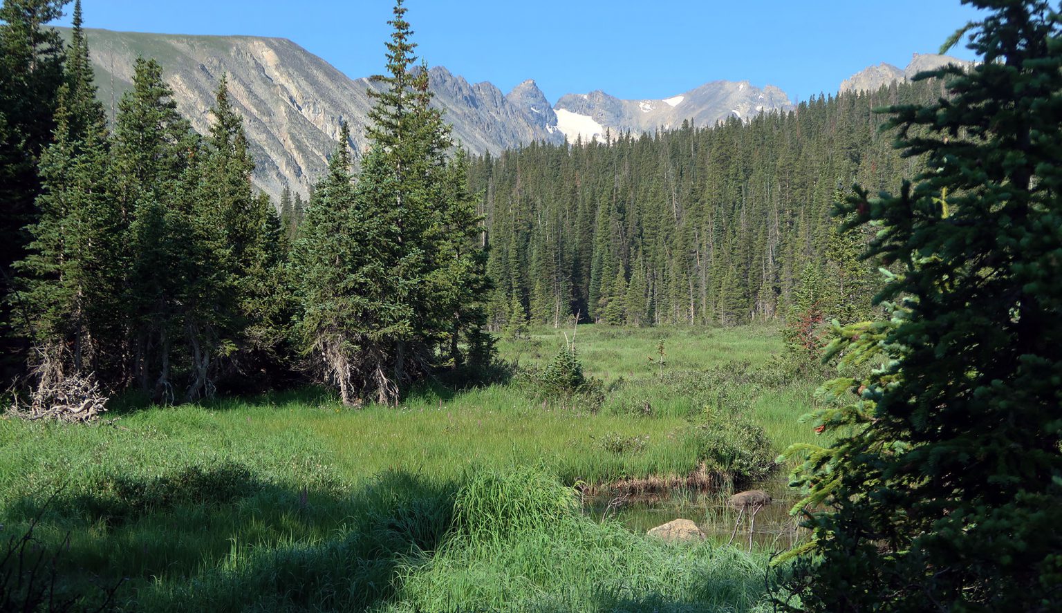 Isabelle Glacier (Indian Peaks Wilderness) - dismal wilderness