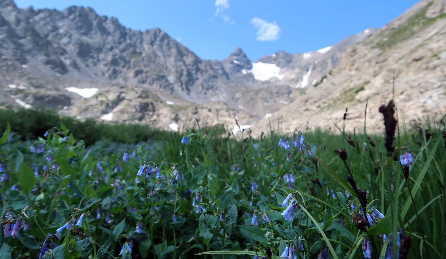 Isabelle Glacier (Indian Peaks Wilderness) - dismal wilderness