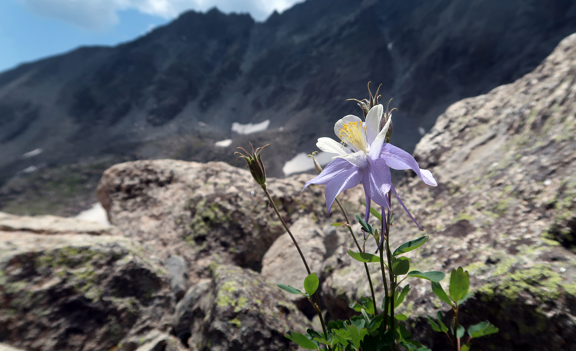 Isabelle Glacier (Indian Peaks Wilderness) - dismal wilderness
