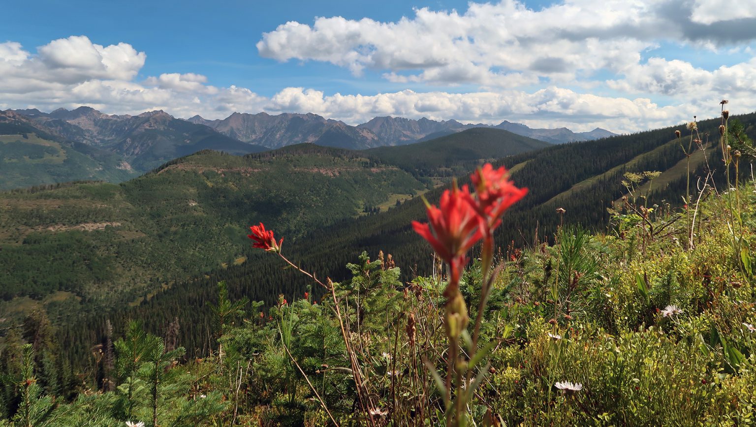 Hiking Vail (Northeast Rim / Ridge Trails) - dismal wilderness