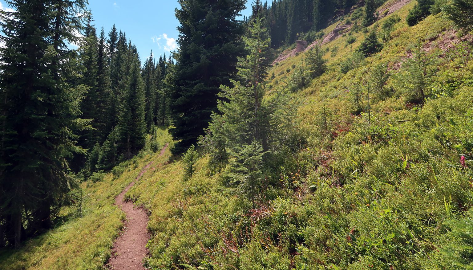 Hiking Vail (Northeast Rim / Ridge Trails) - dismal wilderness