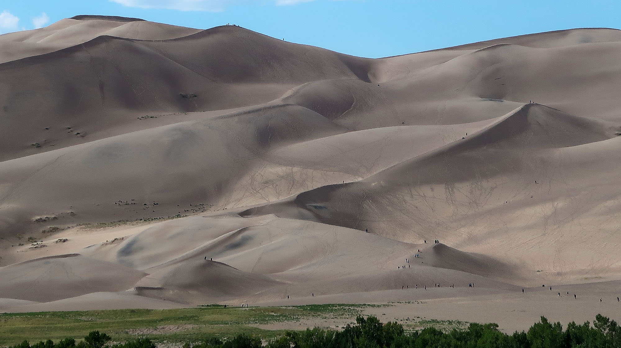 High Dune (Great Sand Dunes NP) - dismal wilderness