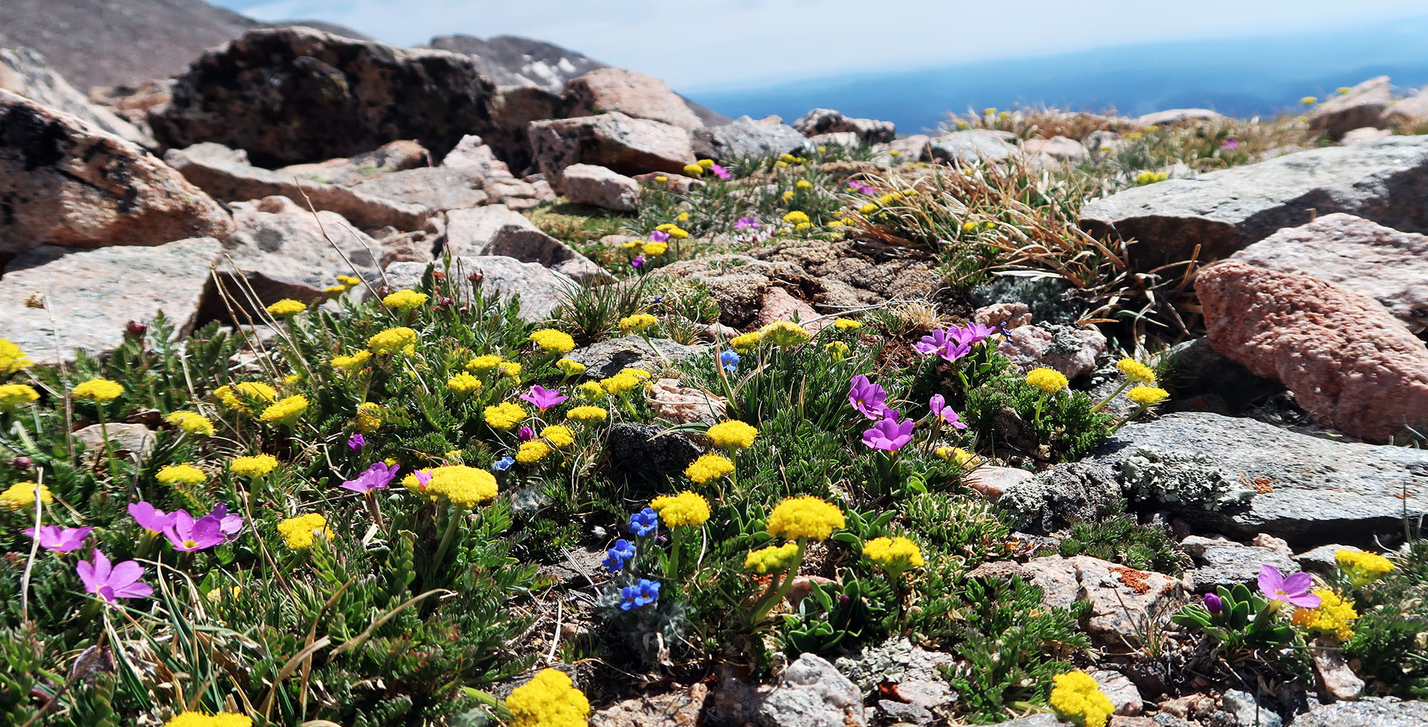 Culebra Peak and Red Mountain - dismal wilderness