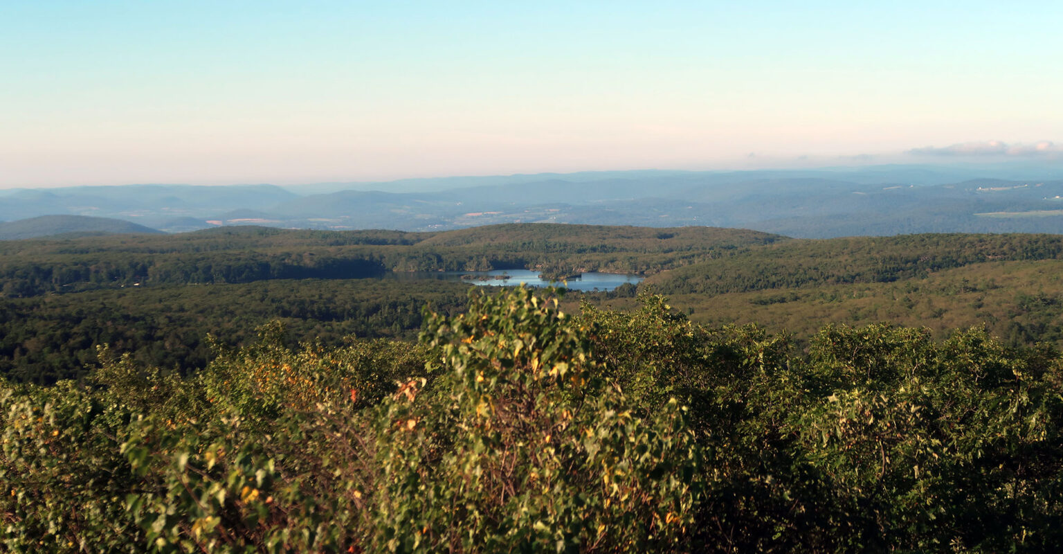 Mount Frissell and the Connecticut High Point - dismal wilderness