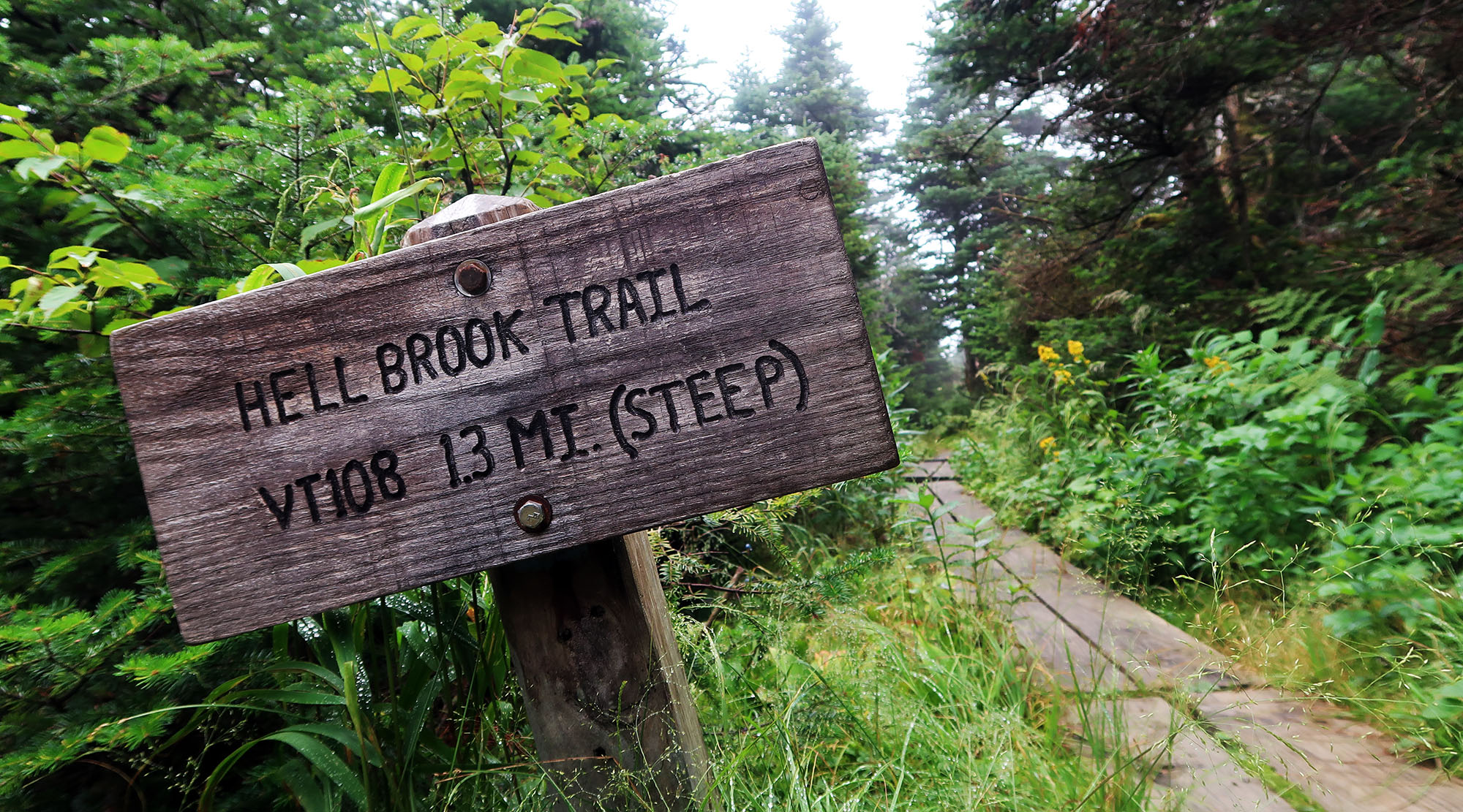 Mount Mansfield via Hell Brook - dismal wilderness
