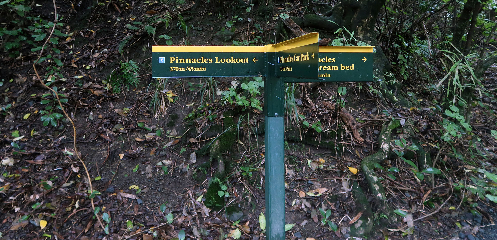 Pūtangirua Pinnacles (The Paths of the Dead) - dismal wilderness