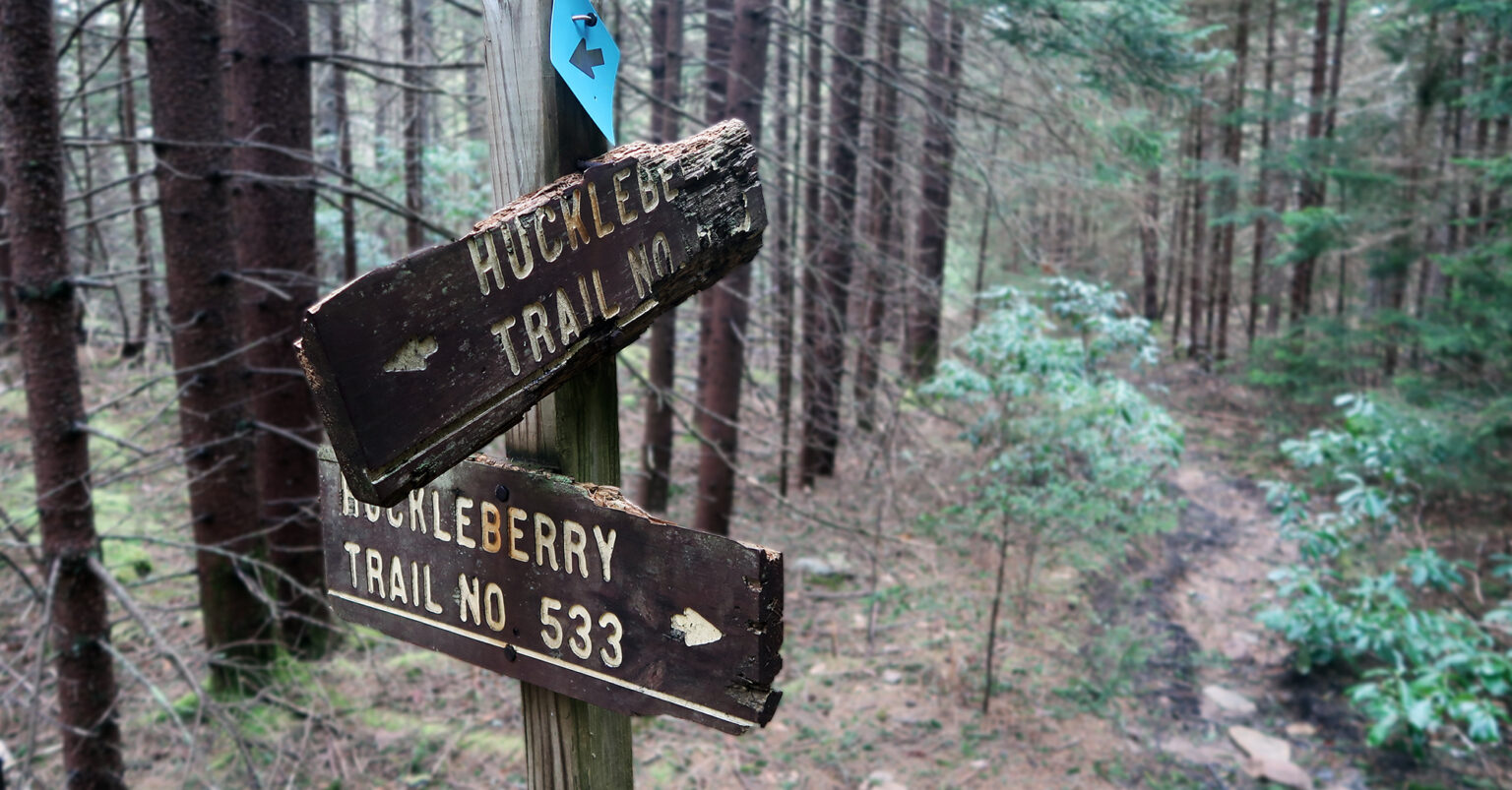 Spruce Knob, West Virginia, via the Huckleberry Trail - dismal wilderness