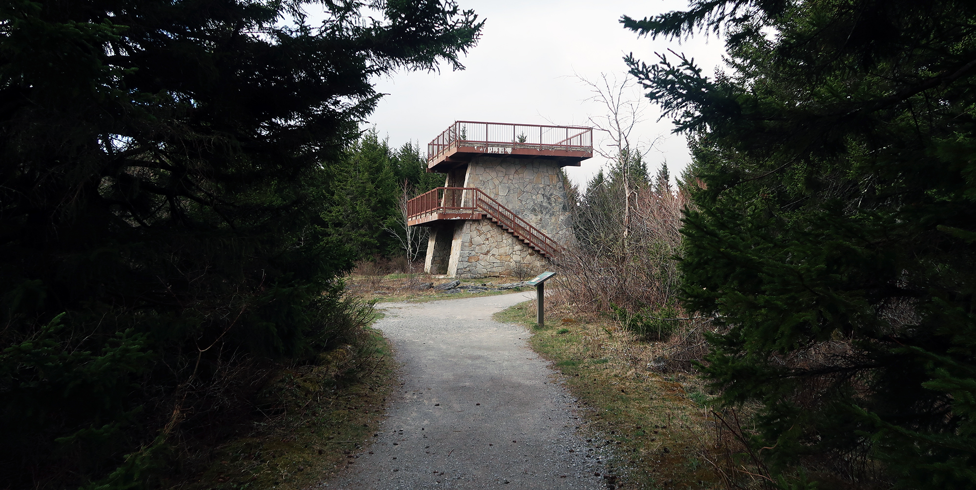 Spruce Knob, West Virginia, via the Huckleberry Trail - dismal wilderness