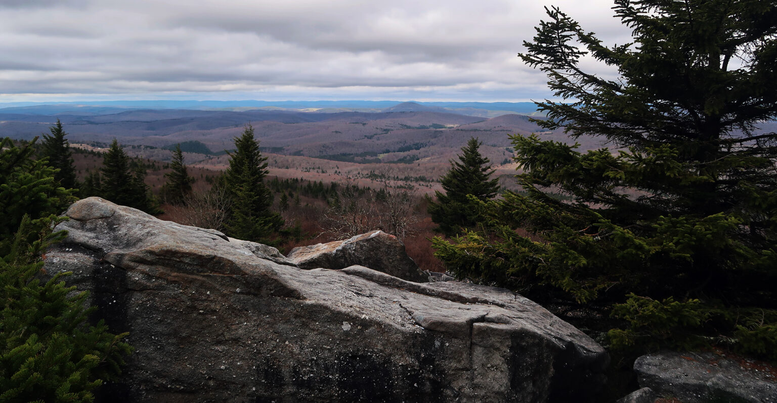 Spruce Knob, West Virginia, via the Huckleberry Trail - dismal wilderness