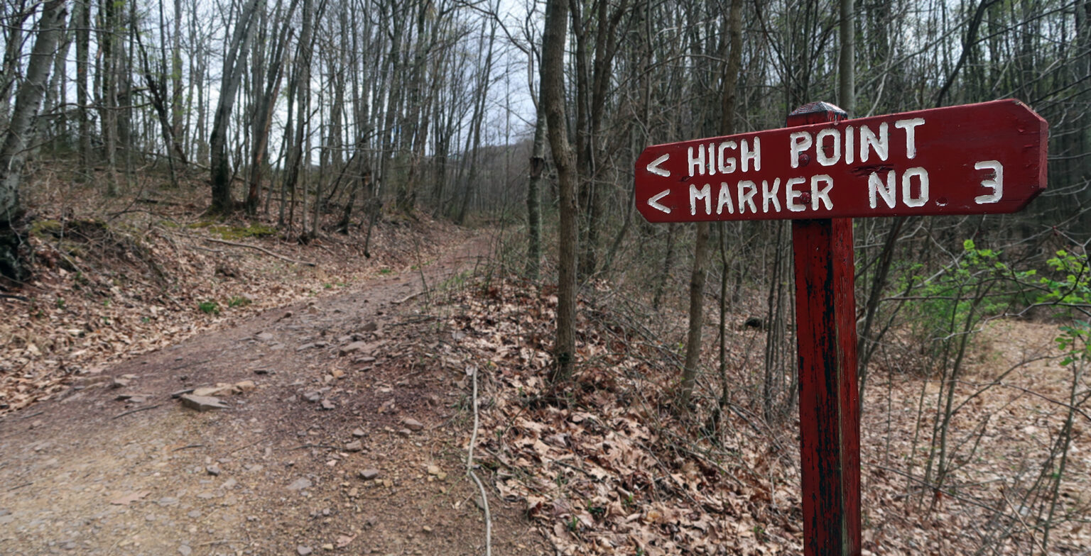 Hoye Crest, Maryland's highest point - dismal wilderness
