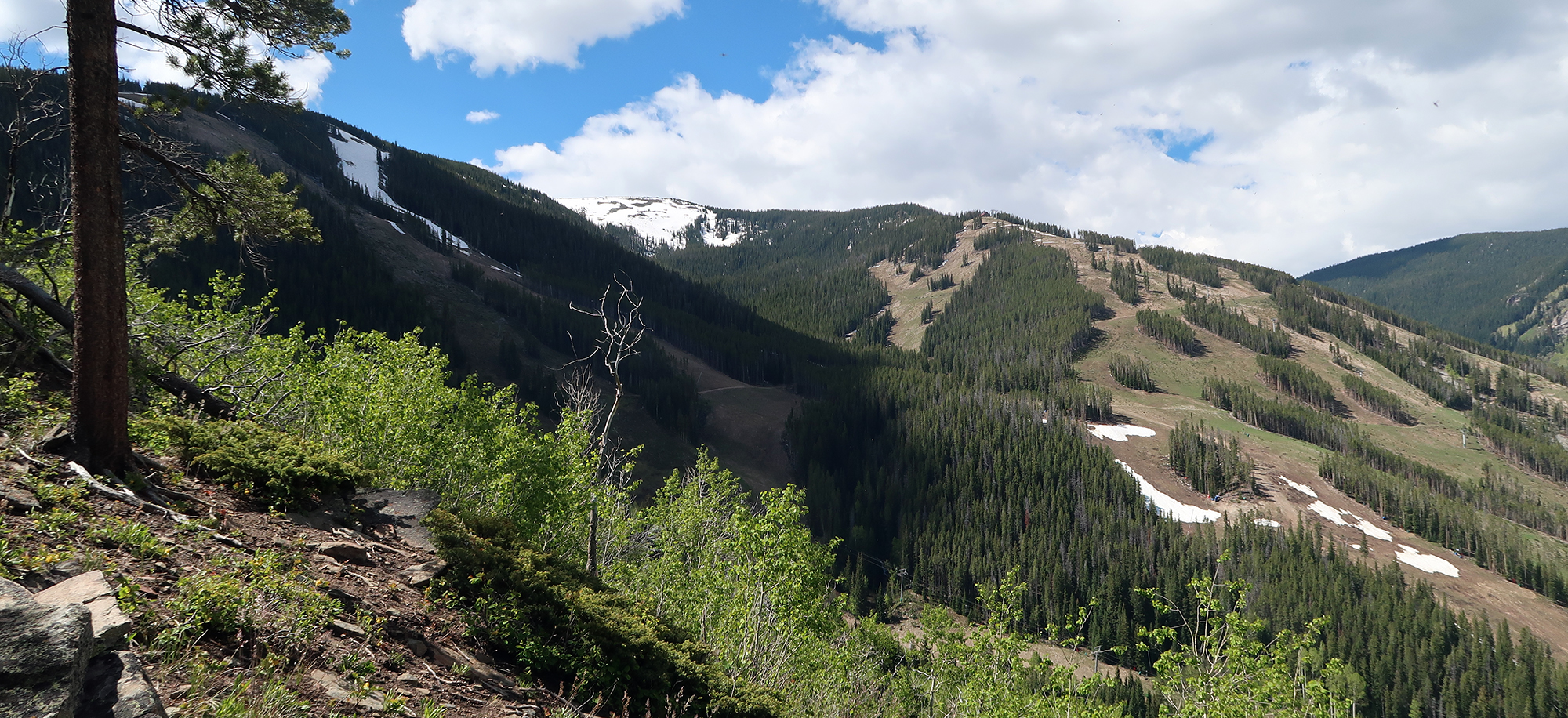 Hiking Beaver Creek's Overlook Trail - dismal wilderness
