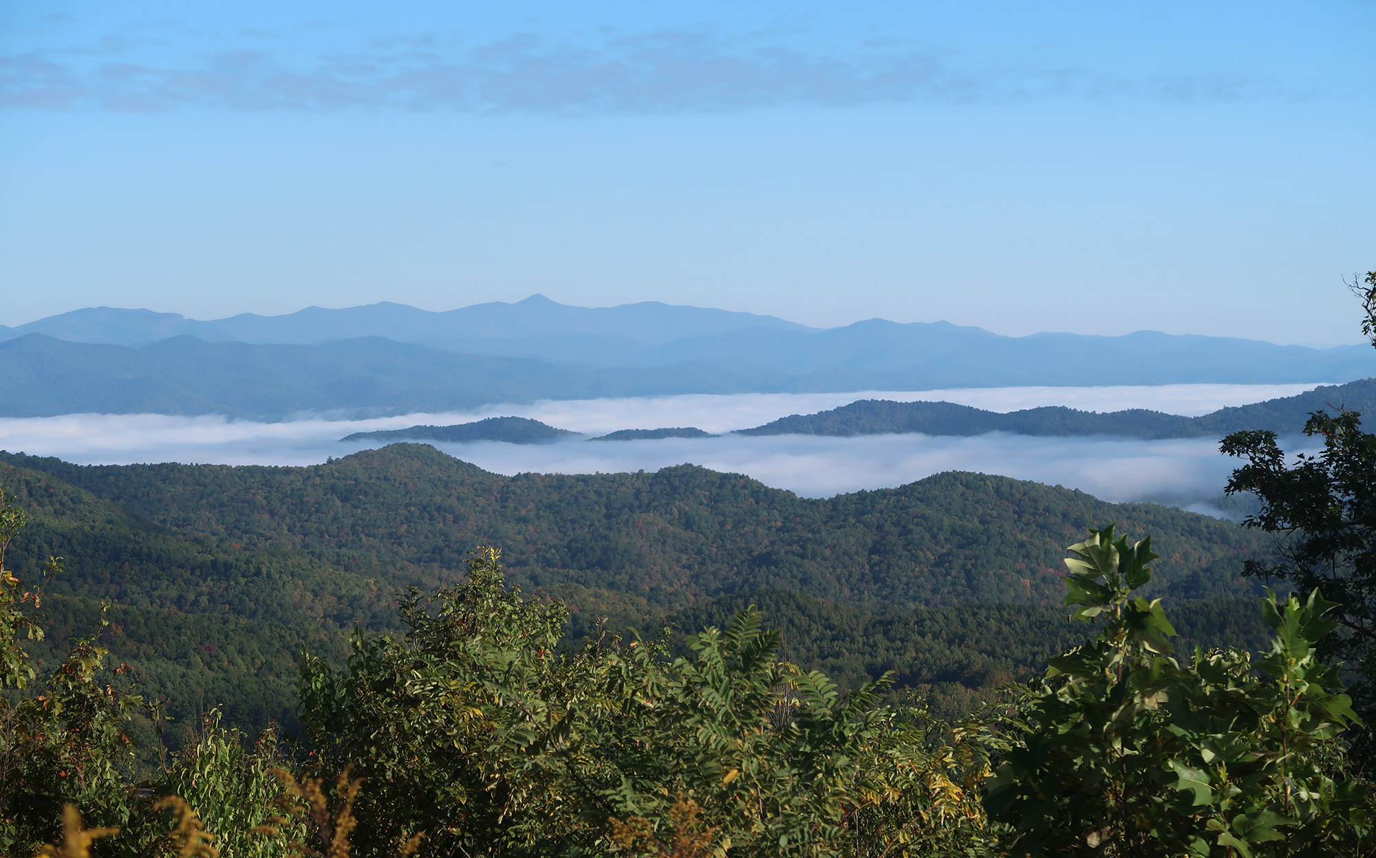 Sassafras Mountain (South Carolina) - dismal wilderness